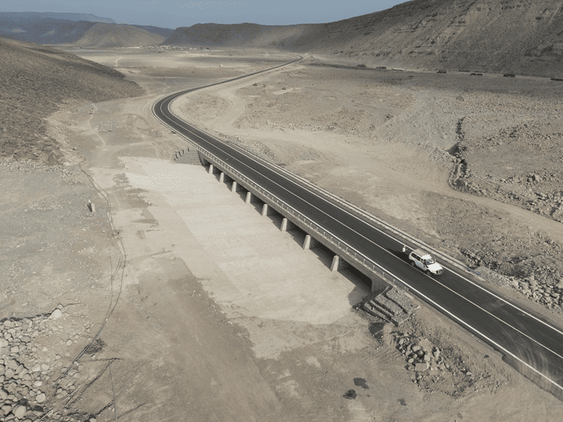 Dai Nippon Construction